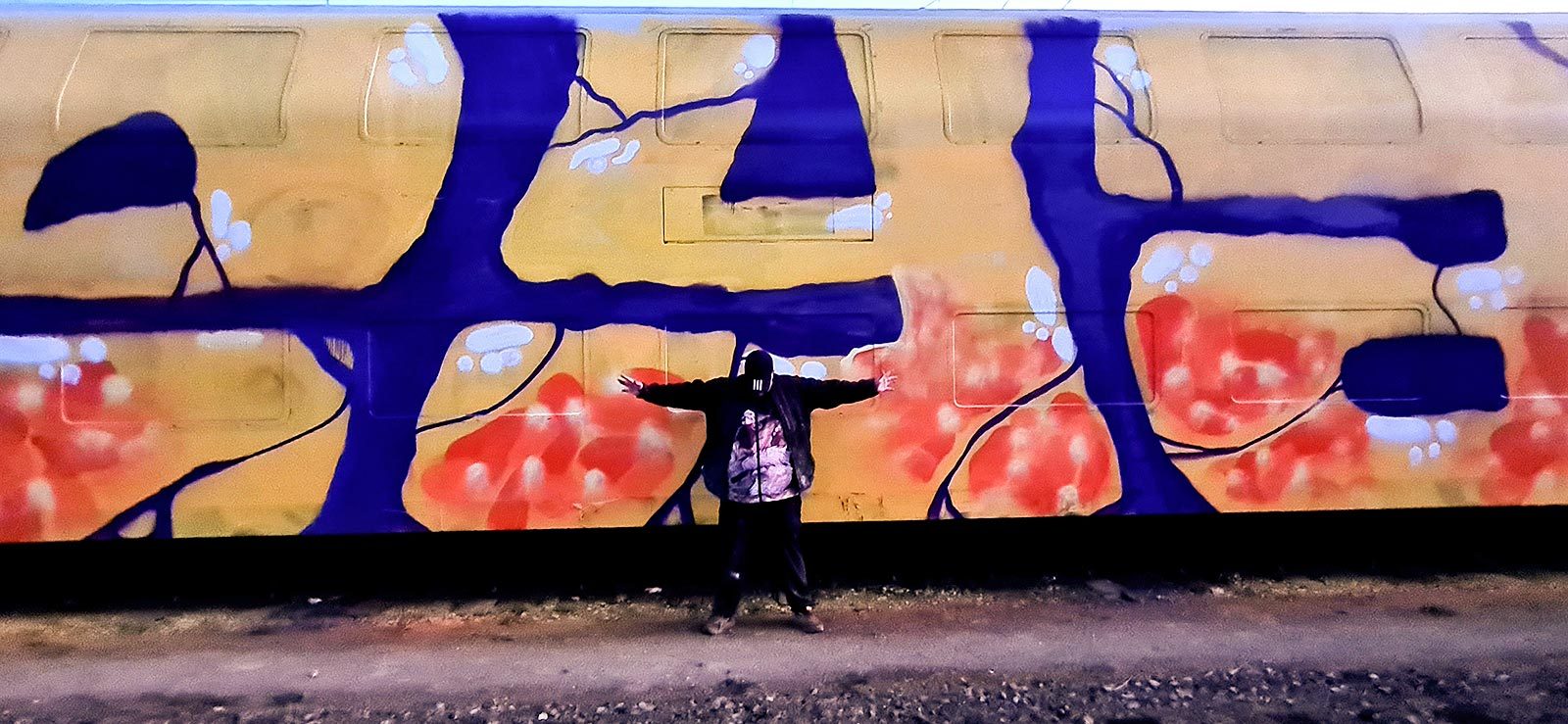 12Shot: Seyar... Mr. Whole Car! - DRIPS